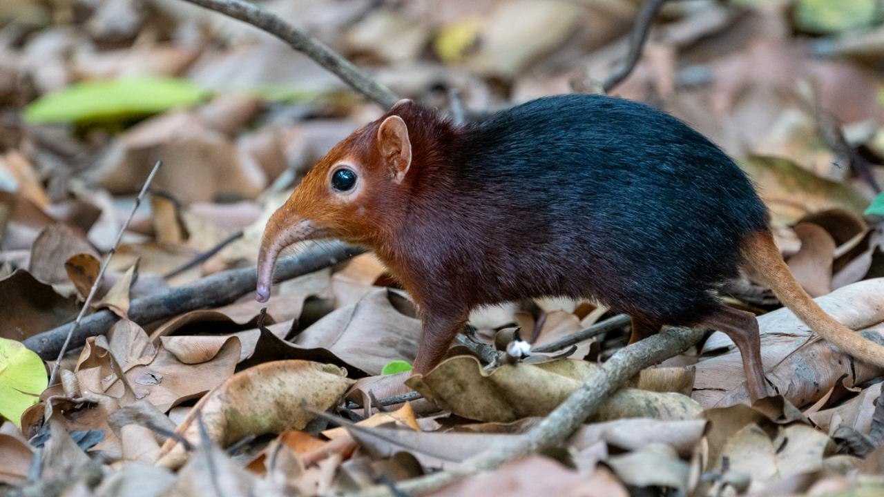 Join the lab! | Holyoak Lab